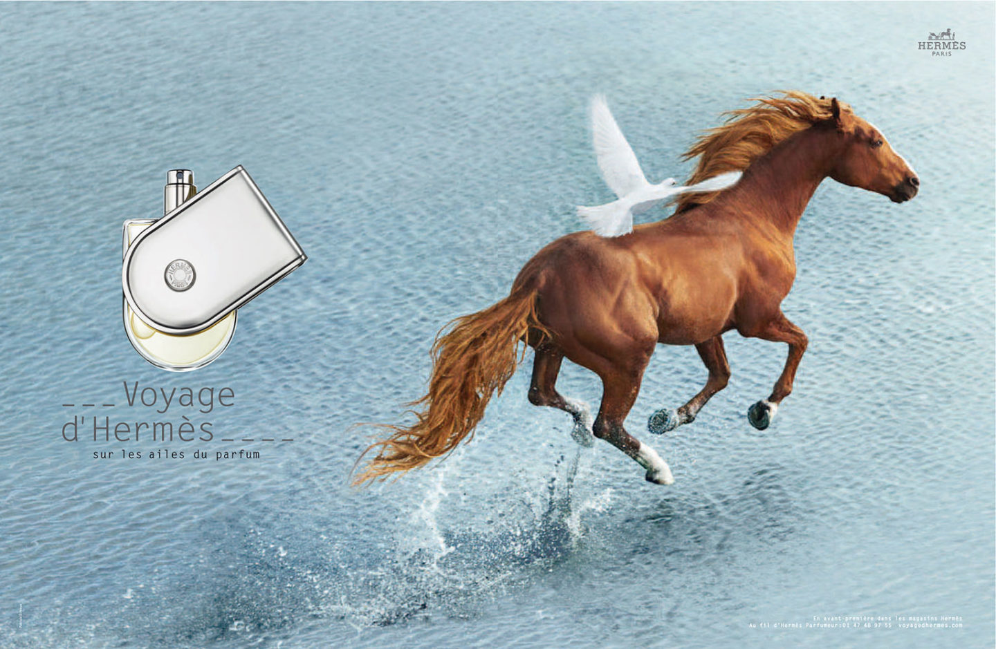 Eric Valli - Michele Filomeno